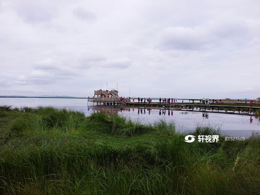 花湖湿地 | 投稿