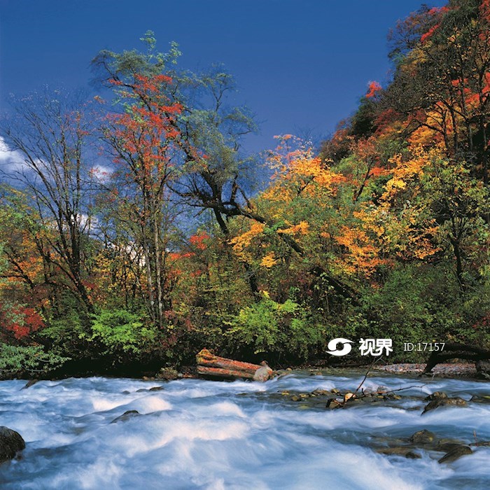 雅安赶羊沟风景区 图片 | 轩视界