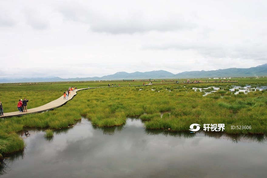 花湖湿地 | 投稿