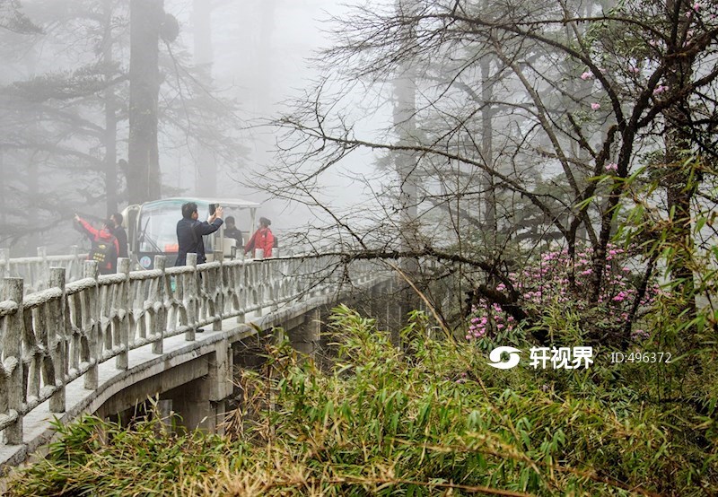 四川瓦屋山杜鹃花开 图片 | 轩视界