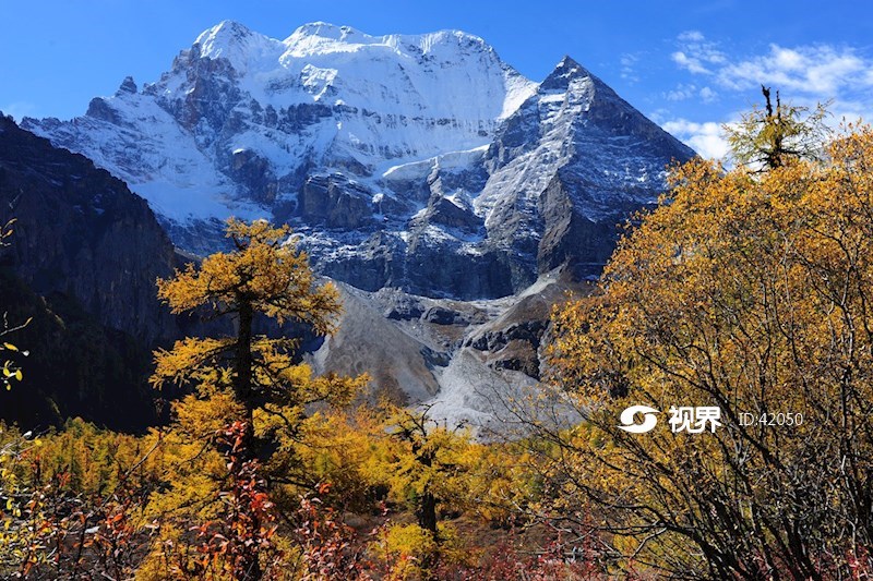 森林中的仙乃日雪峰 图片 | 轩视界