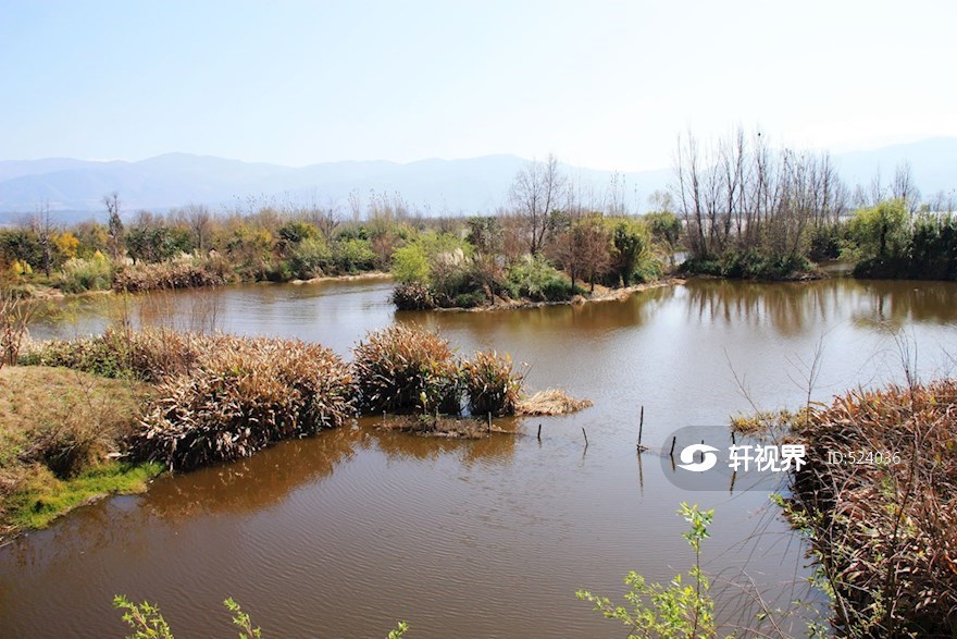 冬日的邛海湿地 | 投稿