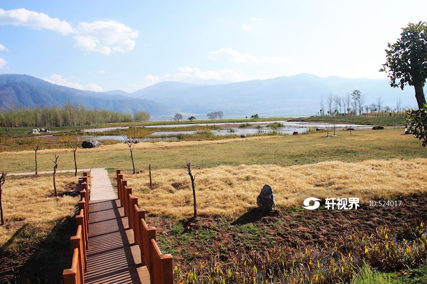 冬日的邛海湿地 | 投稿