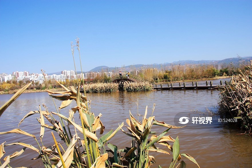 冬日的邛海湿地 | 投稿