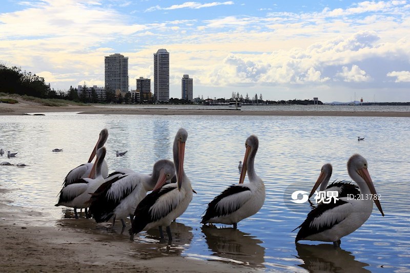 澳大利亚.黄金海岸.风光 图片 | 轩视界