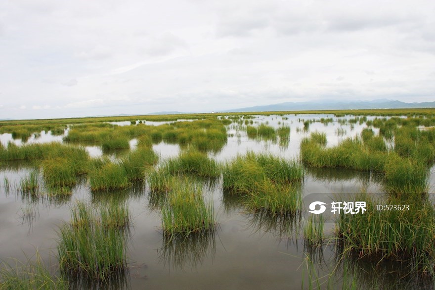 花湖湿地 | 投稿