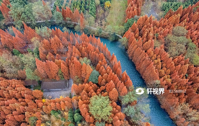 四川都江堰 朱家湾林盘景区美如画 图片 | 轩视界