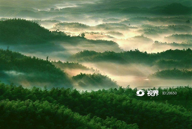 蜀南竹海-迎风湾 图片 | 轩视界