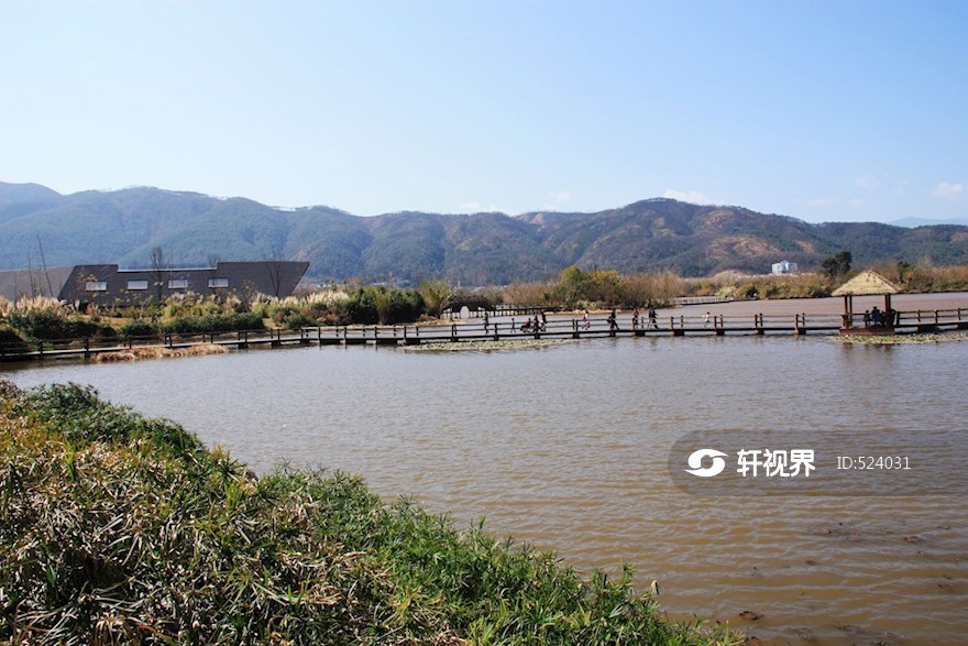 冬日的邛海湿地 | 投稿