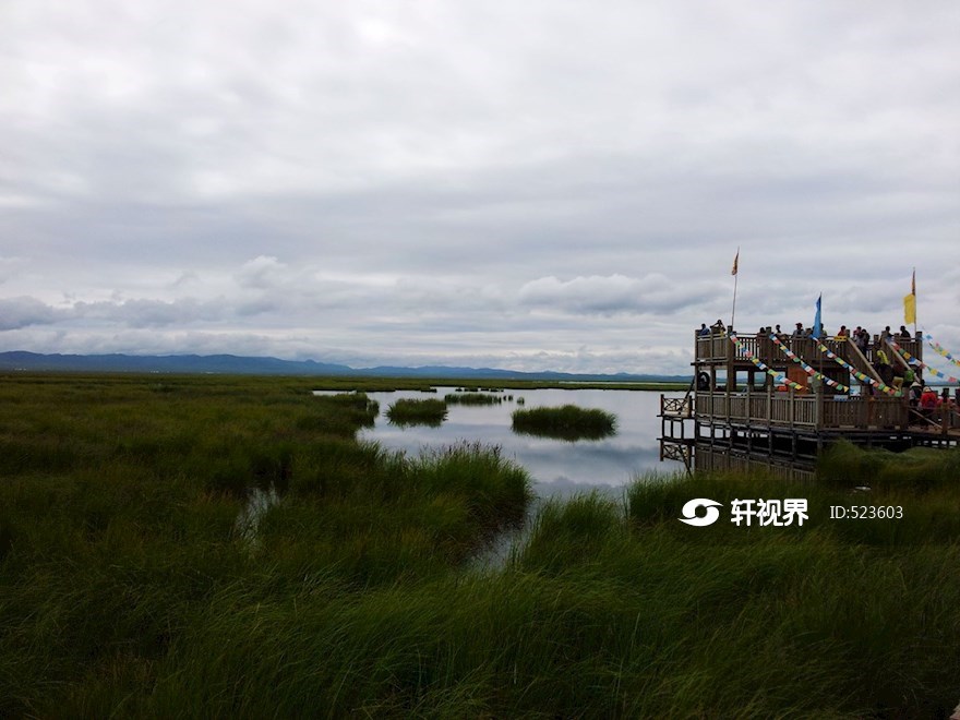 花湖湿地 | 投稿